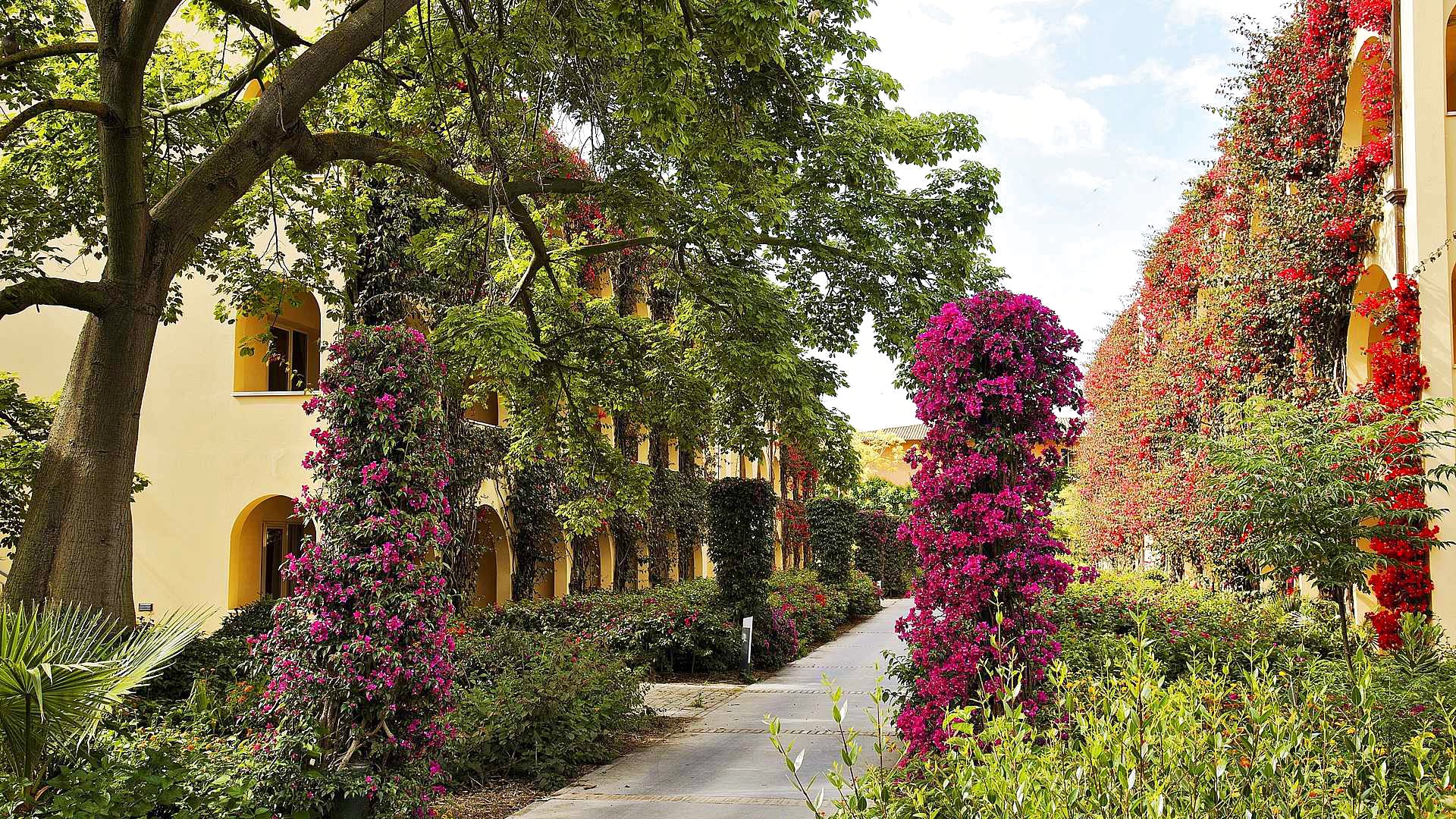 Tui Magic Life Calabria, Pizzo Calabro, Calabria | Yesvacanze.com